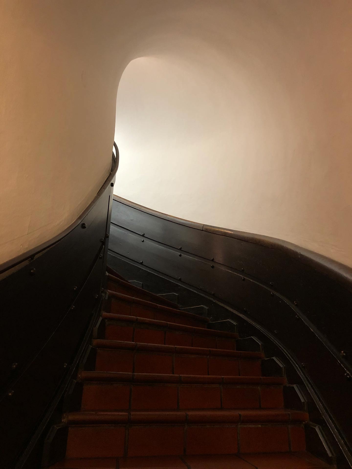 Gallery – Life around us